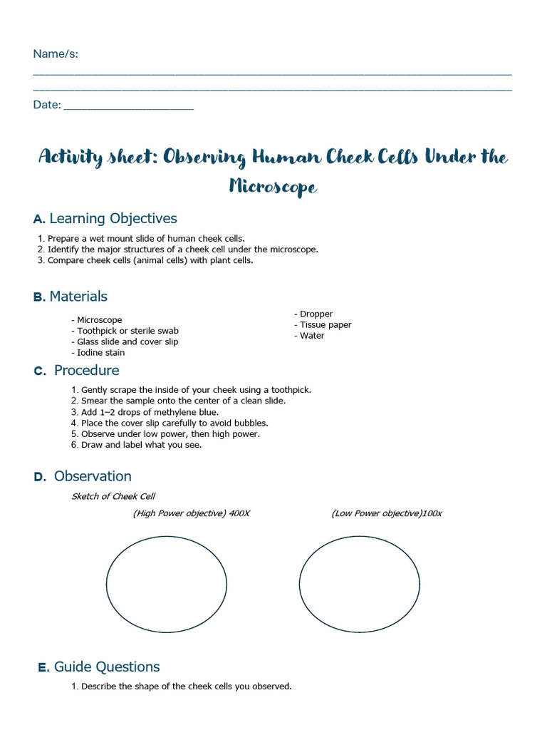 Cheek Cells Activity Sheet | PDF