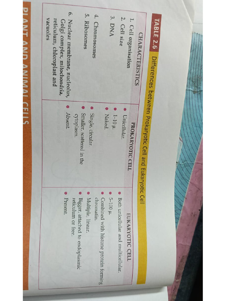 Compounds Class 9th | PDF