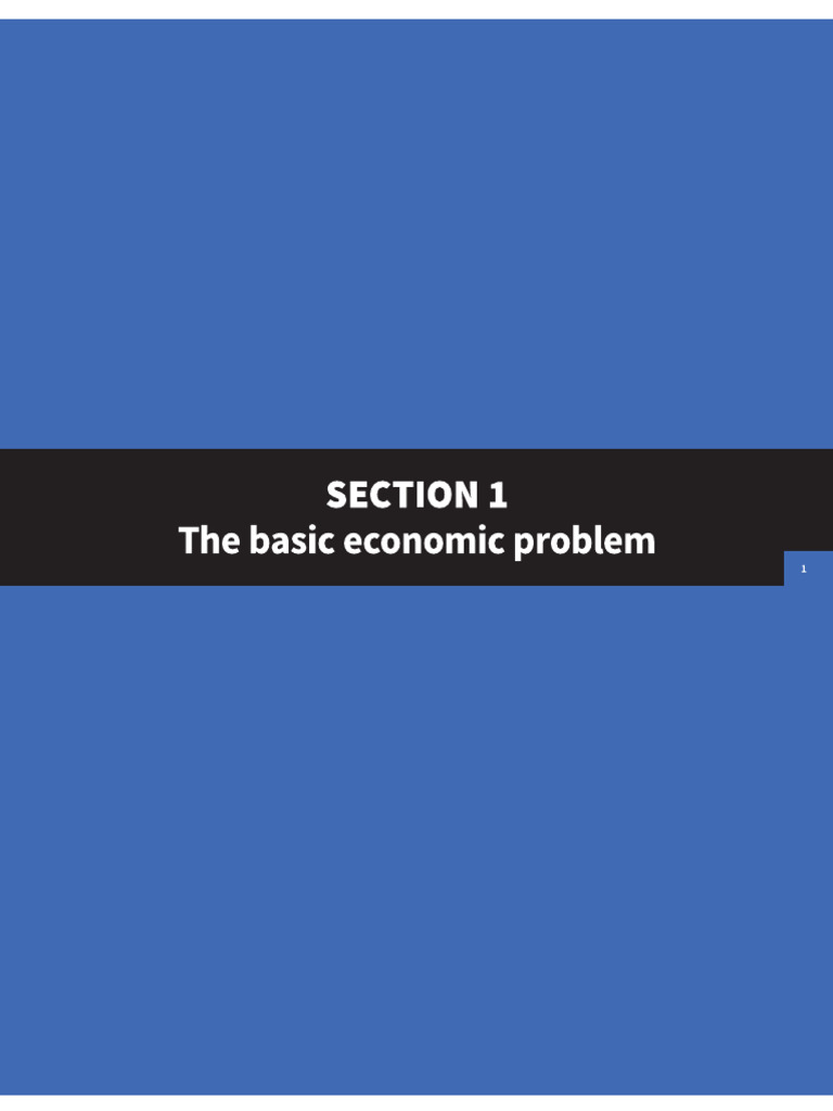 Susan Grant IGCSE Ec 1 Basic Economic Problems | PDF