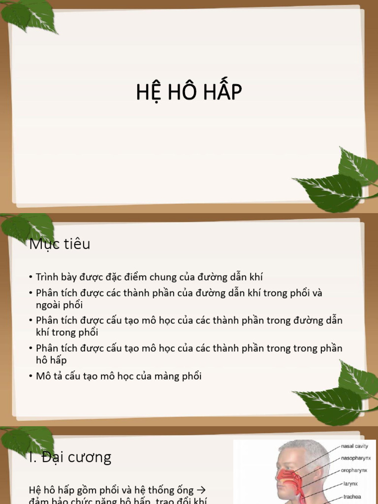 He Ho Hap | PDF