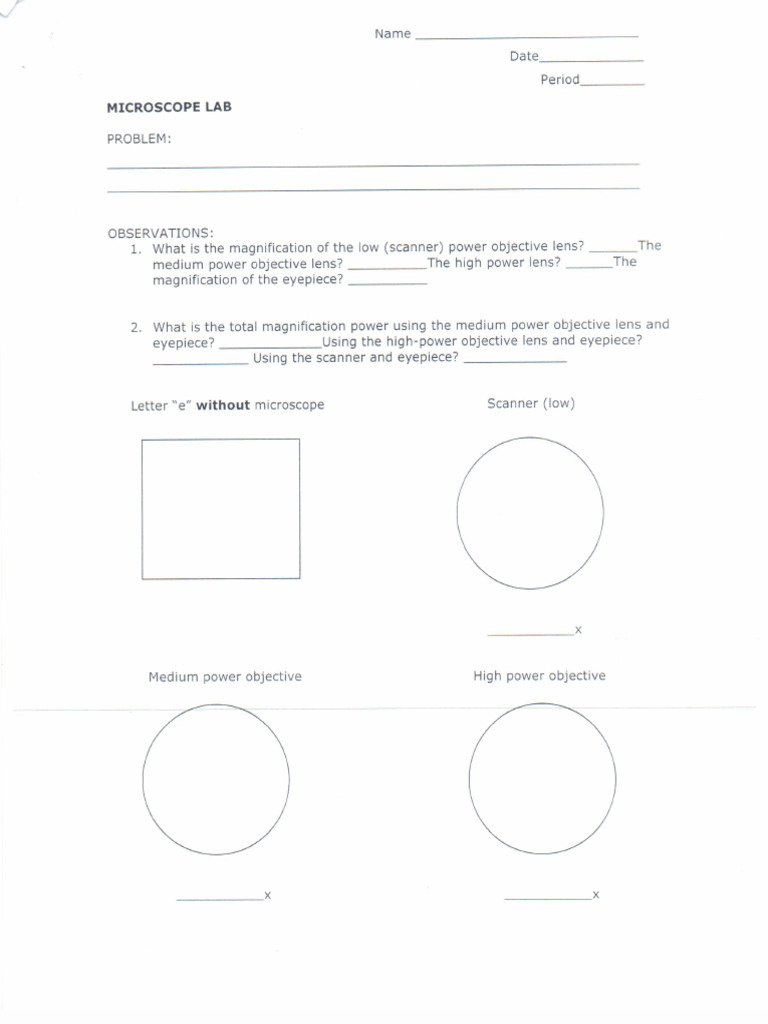 Davone Watkins - Letter E Lab | PDF