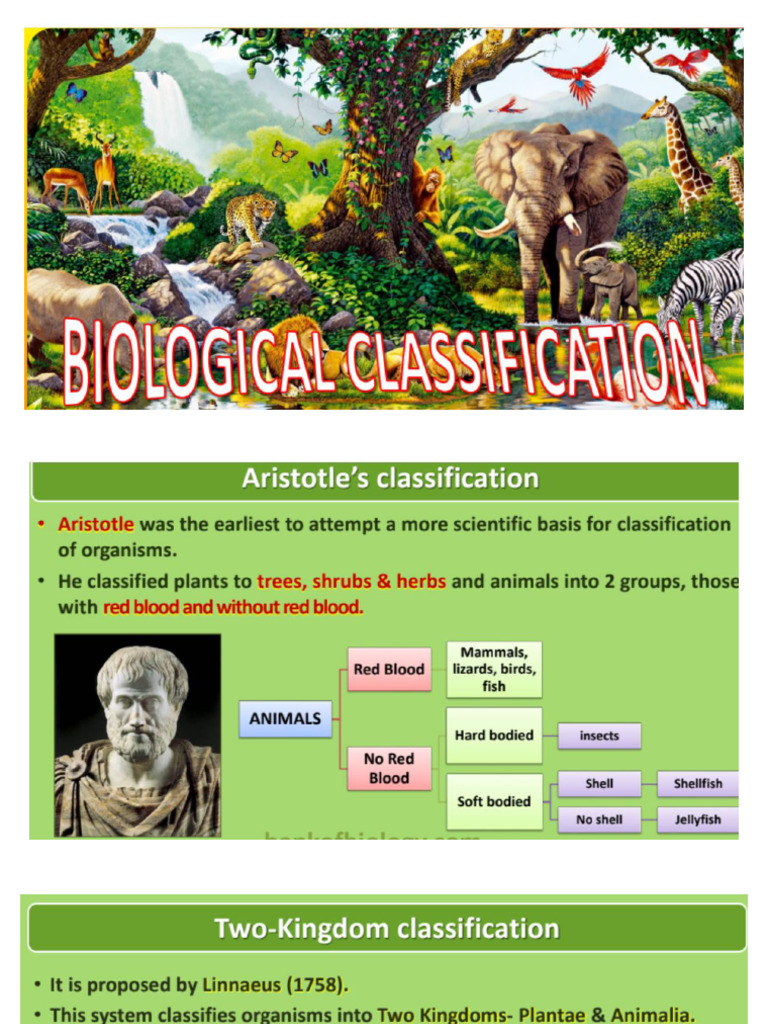 CH-2 Biological Classification | PDF