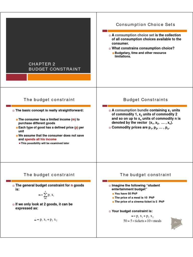 Understanding Budget Constraints | PDF | Ad Valorem Tax | Taxes