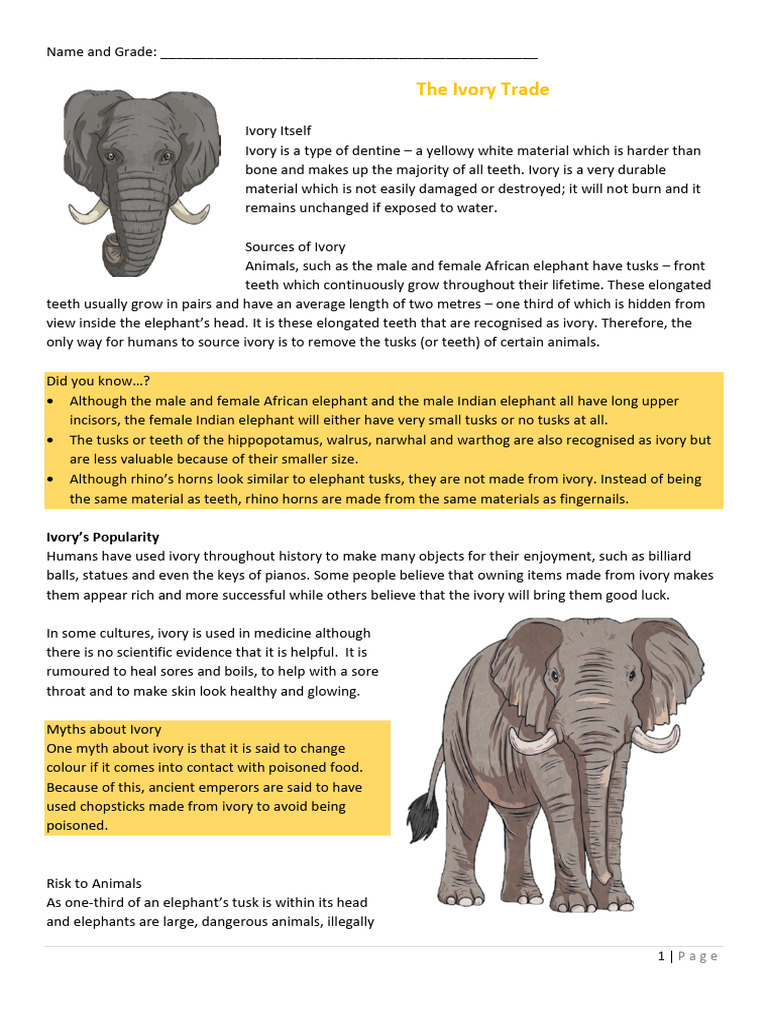 Grade Six Geography The Ivory Trade Case Study - Handout | PDF | Ivory ...