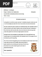 Hoe Om Tee Te Maak Instruksies | PDF