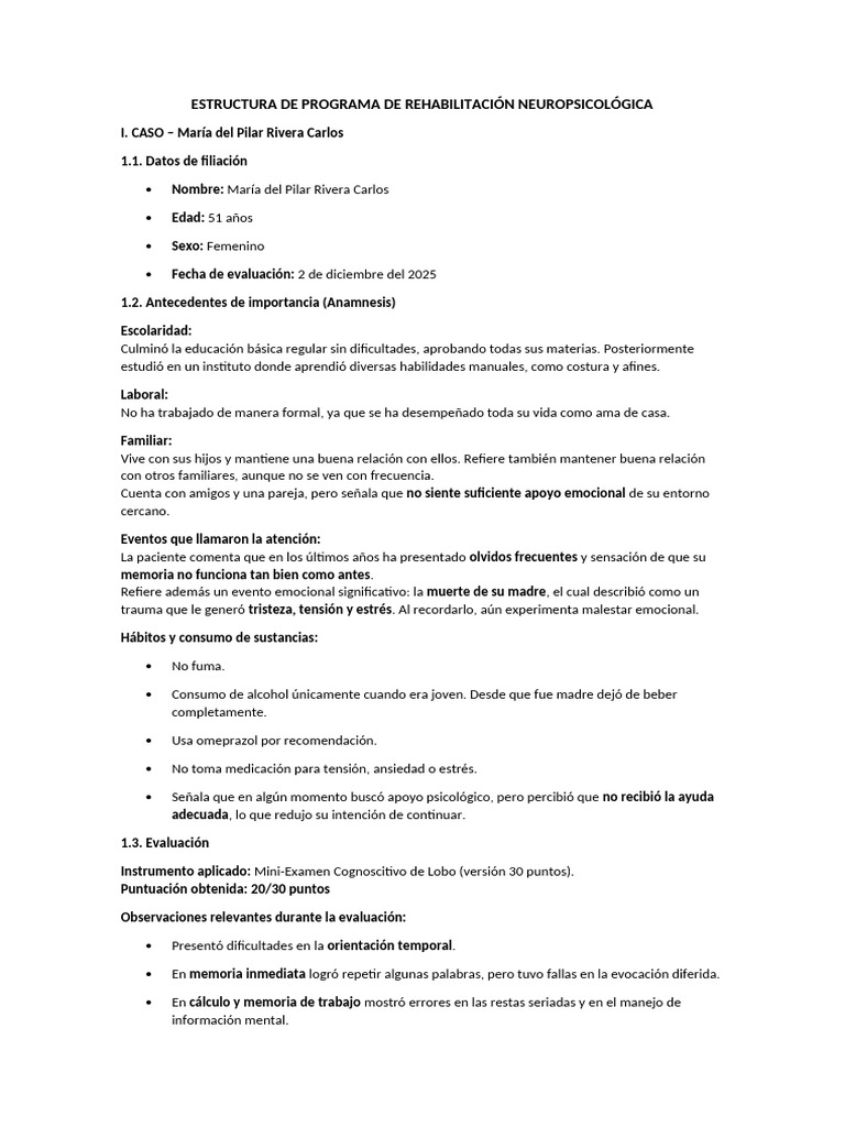 Estructura de Programa de Rehabilitación Neuropsicológica (1)[1] | PDF ...