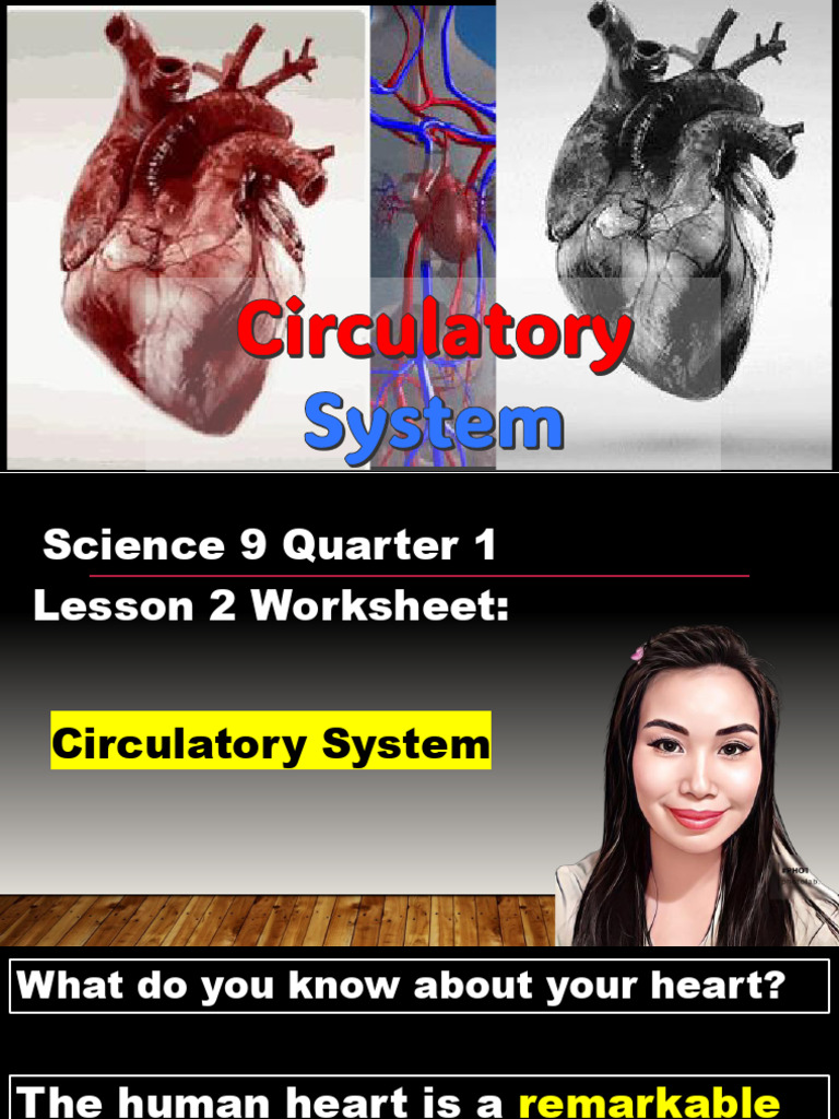 Lesson 2 Circulatory System | PDF | Circulatory System | Heart