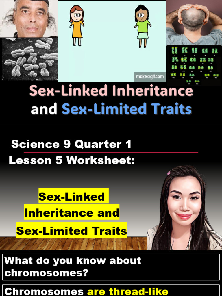 Lesson 5 Sex-Linked Inheritance and Sex-Limited Traits | PDF | Genetics ...