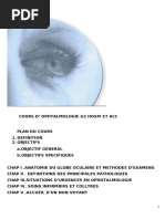 Anatomie du Corps Géniculé Latéral | PDF | Système visuel | Vision