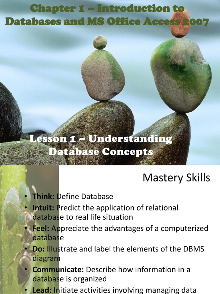 Understanding Database CONCEPTS | PDF | Databases | Data