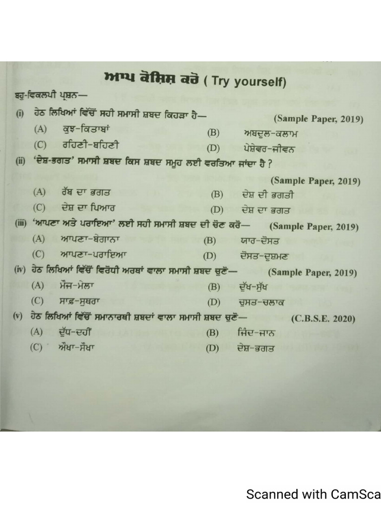 Short Grammar Practice | PDF