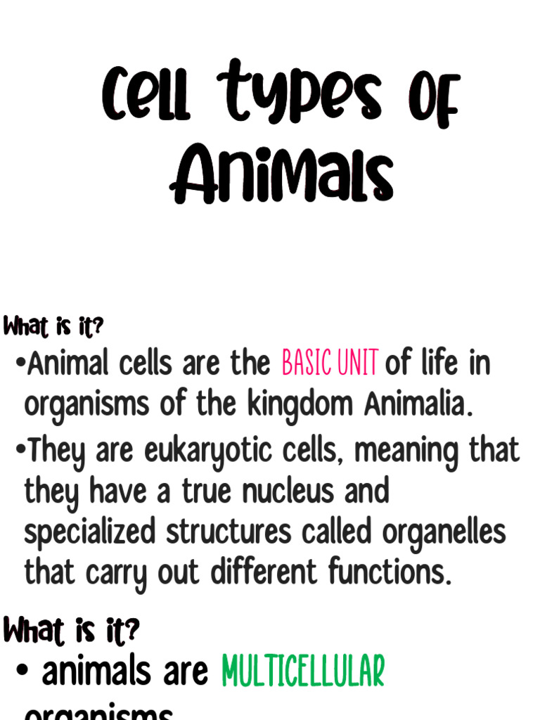 Cell-Types-of-Animals | PDF | Epithelium | Connective Tissue