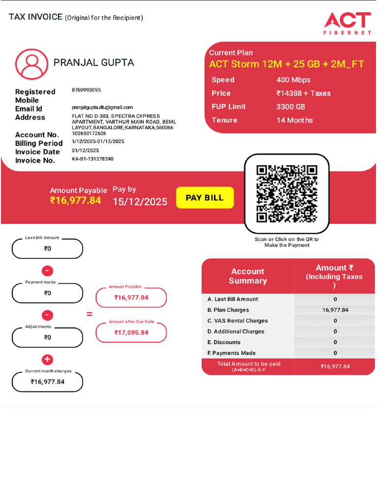 ACT Fibernet | PDF
