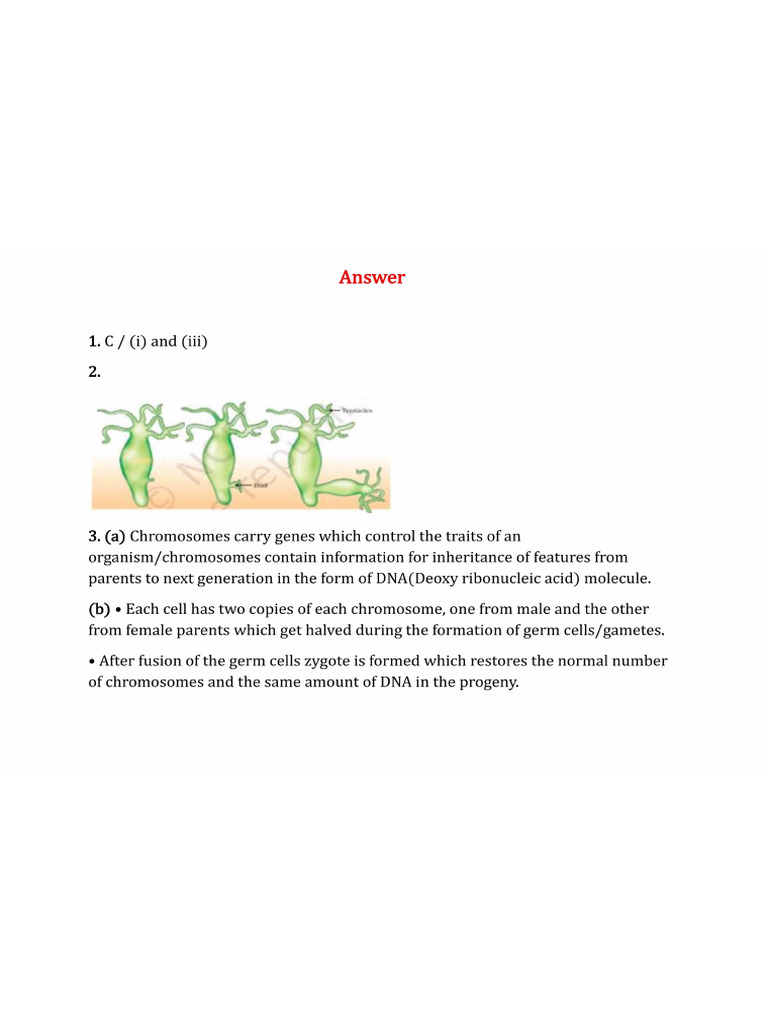Class - 10 Bio Previous Year 2025 Test Paper Solution | PDF