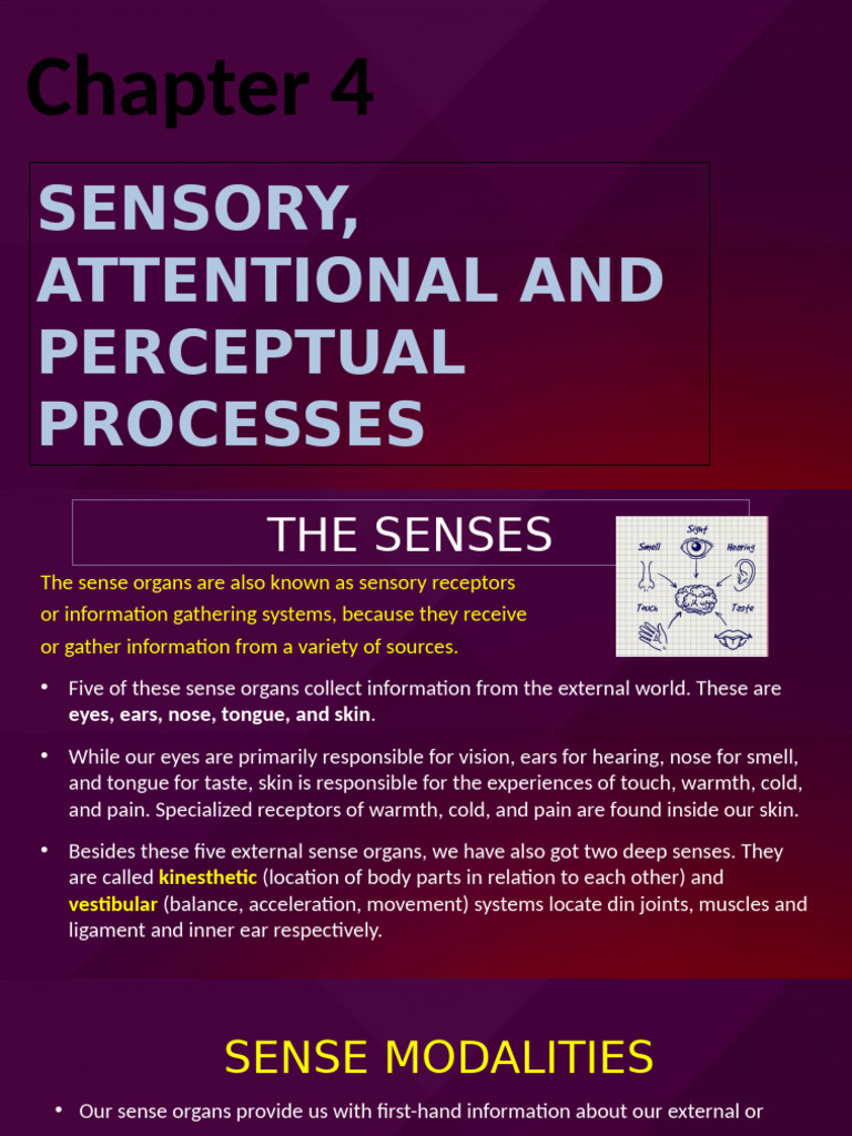 CHAPTER 4 Class XI Updated | PDF | Senses | Perception