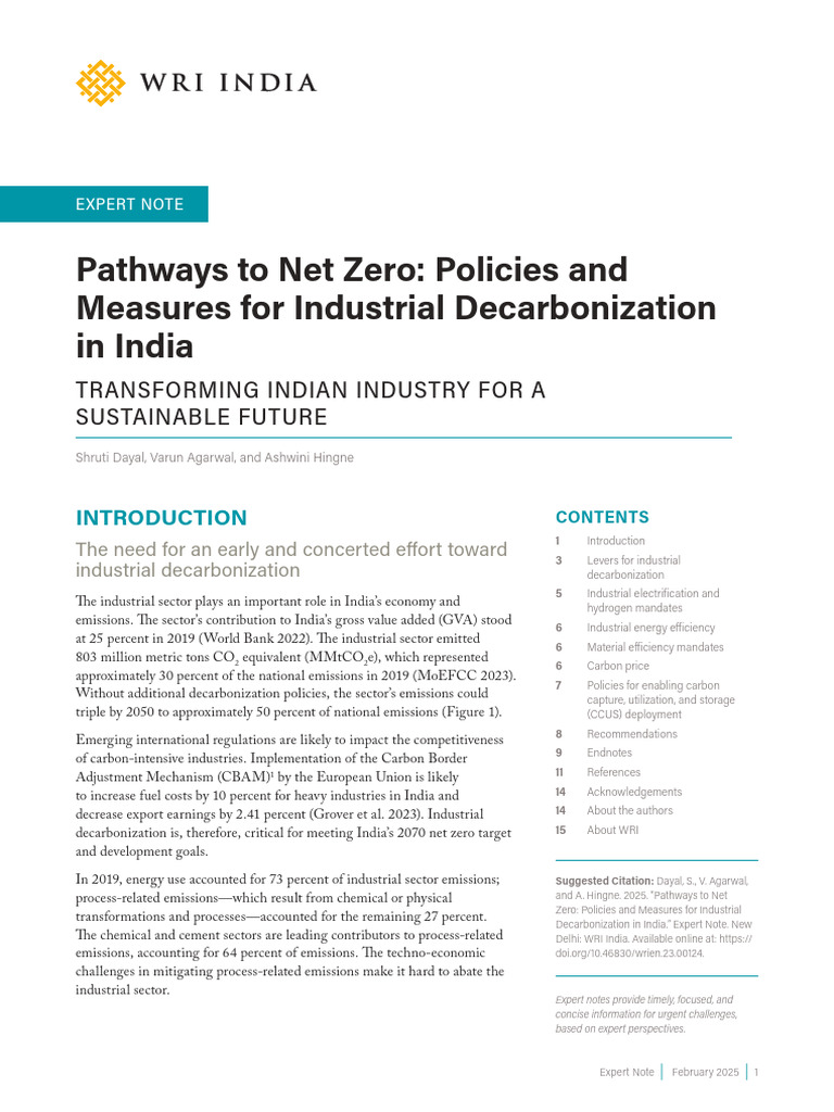 Pathways To Net Zero Expert Note WRI | PDF | Climate Change Mitigation ...