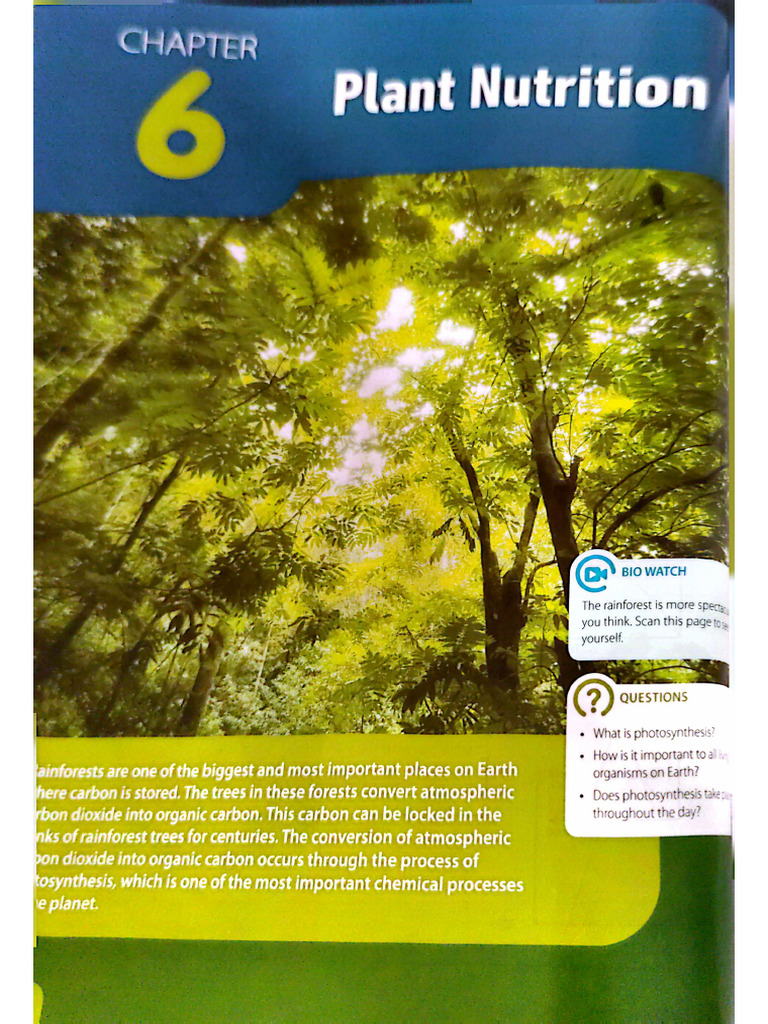 Plant Nutrition - 6 | PDF