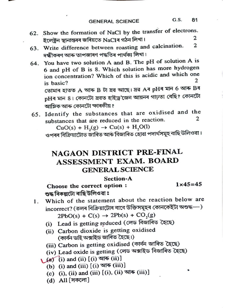 Nagaon District | PDF