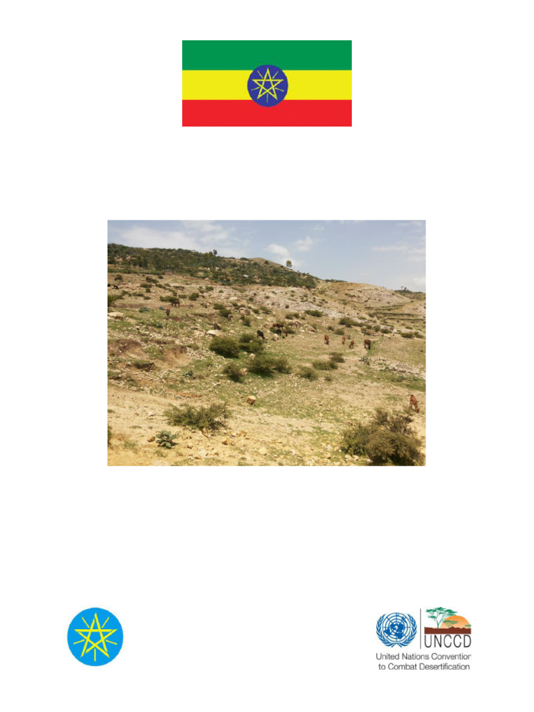 Ethiopia Ldn Country Report Final | PDF | Forests | Grassland