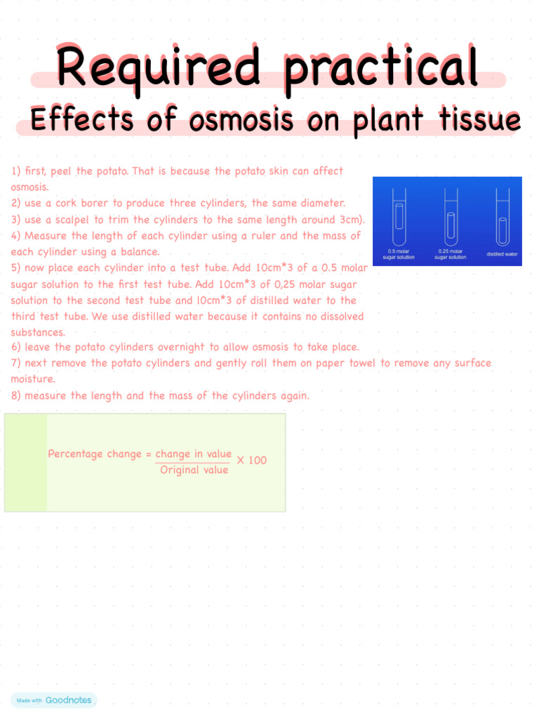 Effects of Osmosis On Plant Tissue - Practical | PDF