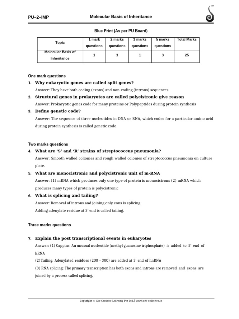 06 PU 2 IMP Molecular Basis of Inheritance | PDF | Dna Replication ...