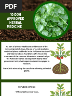 Akapulko: Herbal Uses and Preparations | PDF | Herbalism | Tea