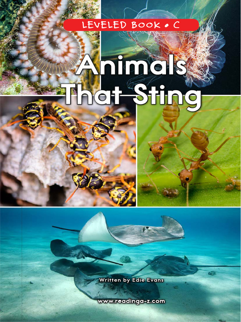 Animals That Sting - Password | PDF