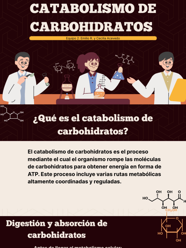 Catabolismo de Carbohidratos | PDF | Glucólisis | Trifosfato de adenosina