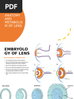 Anatomy and Functions of the Eye Lens | PDF | Cataract | Eye
