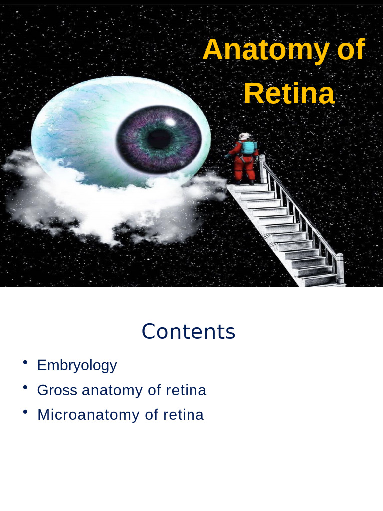 Anatomy of Retina 25102022 | PDF | Retina | Human Eye