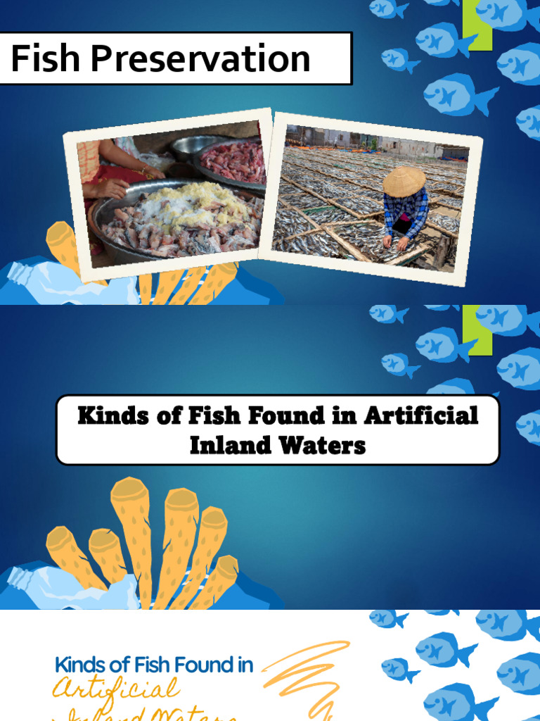 H.E. 6 Fish Preservation | PDF | Fish And Humans | Fish