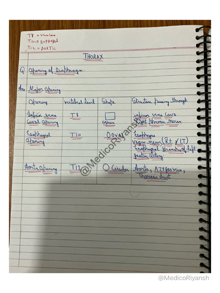 Thorax IMP Anatomy Notes by MedicoRiyansh - Watermark | PDF
