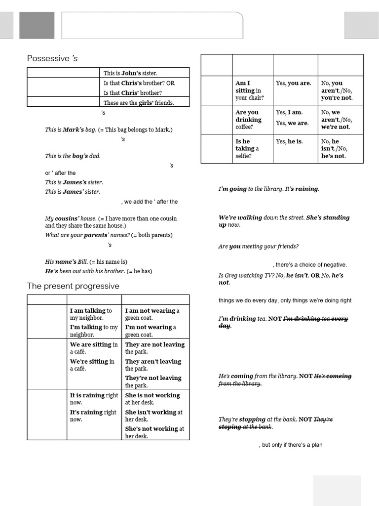 Starter Grammar Set 5 | PDF | Grammatical Number | Noun