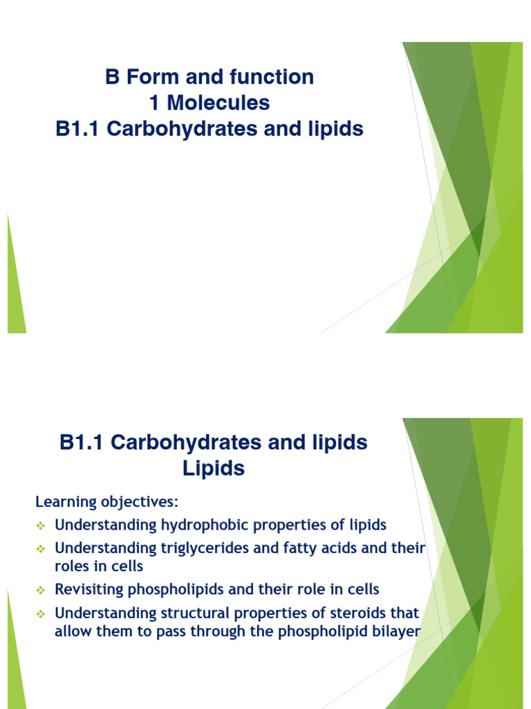 Topic_B1.1-carbohydrates_and_lipids-part | PDF | Fatty Acid | Triglyceride