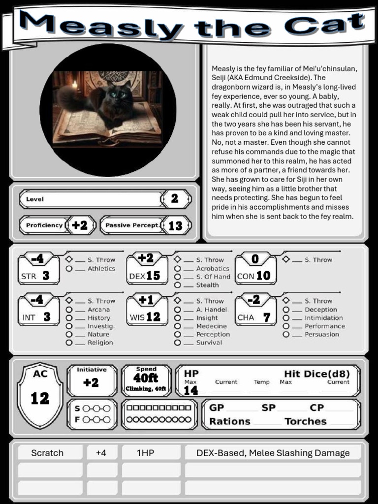 Measly Character Sheet | PDF | Role Playing | Games Of Mental Skill