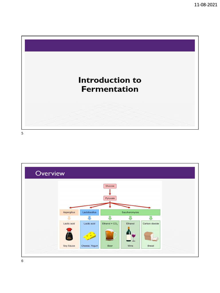 Introduction To Fermentation | PDF | Fermentation | Water Purification
