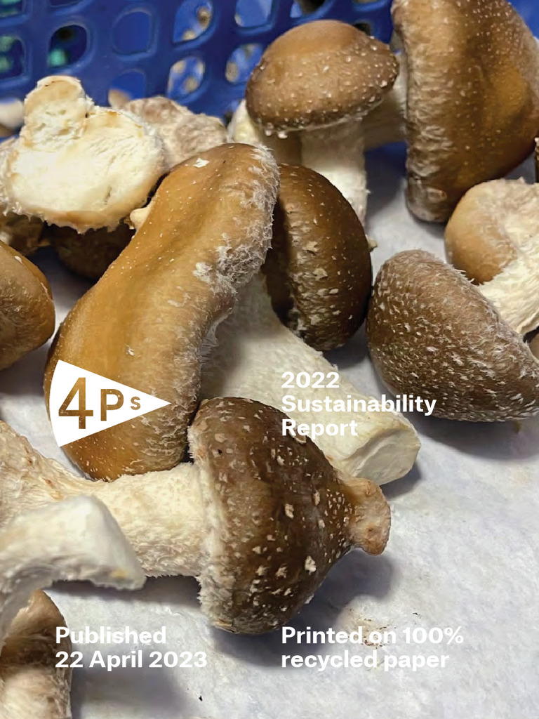 4Ps_Sustainability_Report_2022 | PDF | Sustainability
