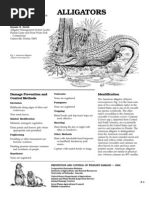 Average Weight of American Alligators | PDF | Pound (Mass) | Crocodile