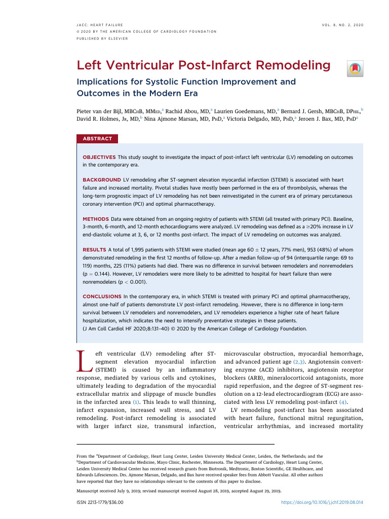 Van Der Bijl Et Al Left Ventricular Post Infarct Remodeling | PDF ...