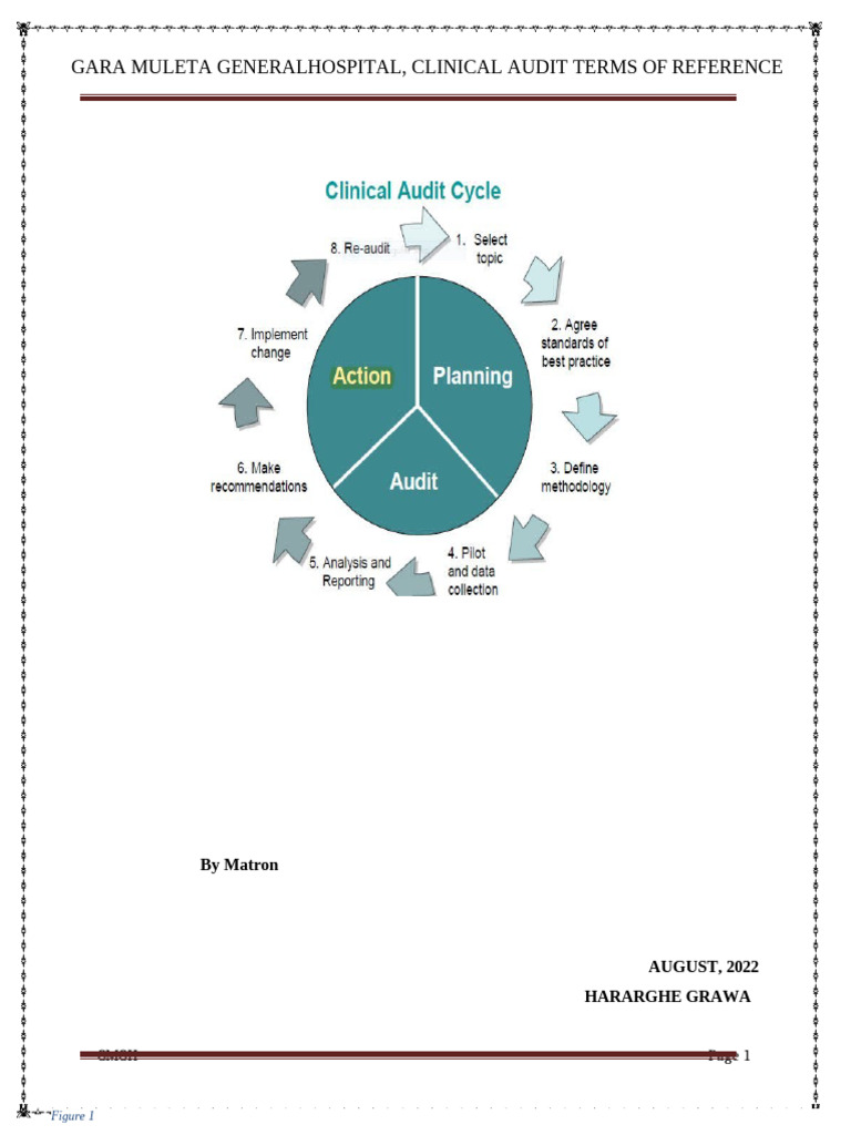 GMGH Clinical Audit TOR | PDF | Audit | Evidence Based Medicine
