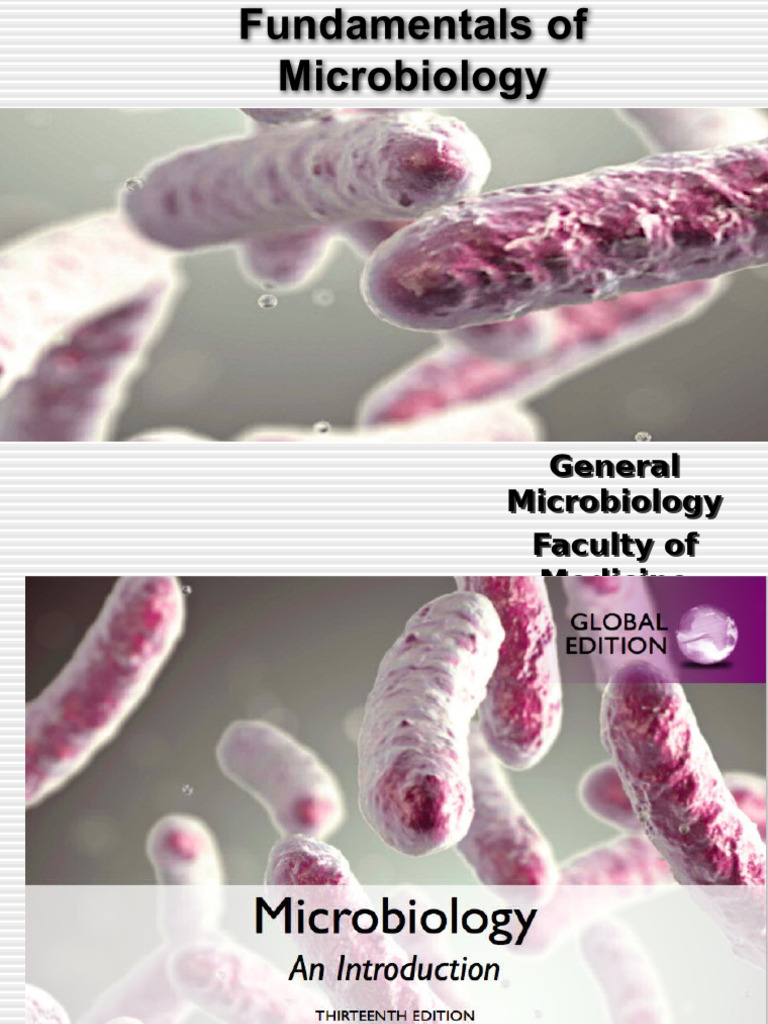 Fundamentals of Microbiology 1 | PDF | Microorganism | Bacteria