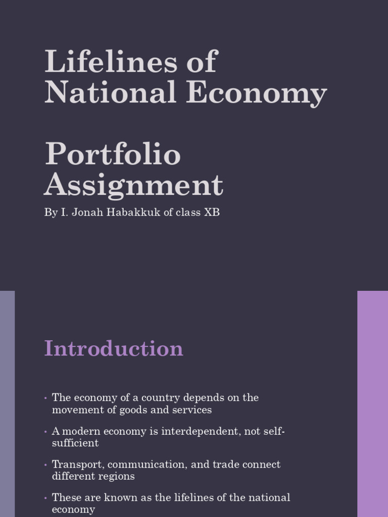 Lifelines of National Economy Class 10 Portfolio | PDF