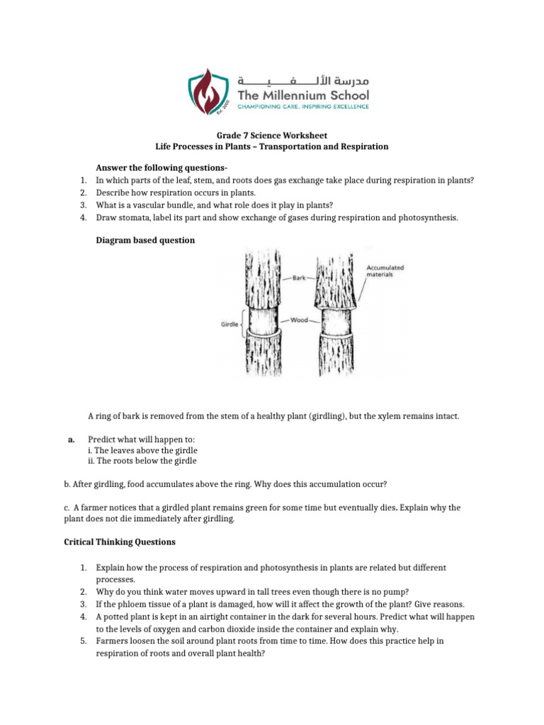 Life Processes in Plants - Transportation and Respiration Worksheet ...
