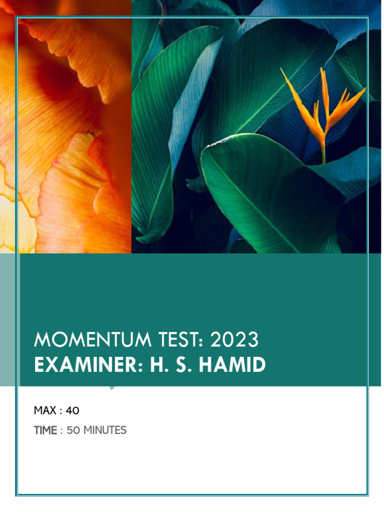 Momentum Test 2023 (1) | PDF | Collision | Momentum