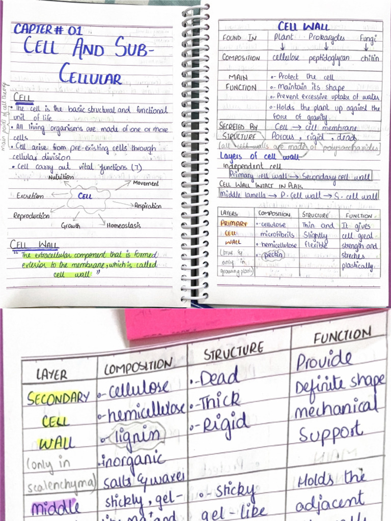 Bio Notes CHAPTER #1 TILL Vacuoles | PDF