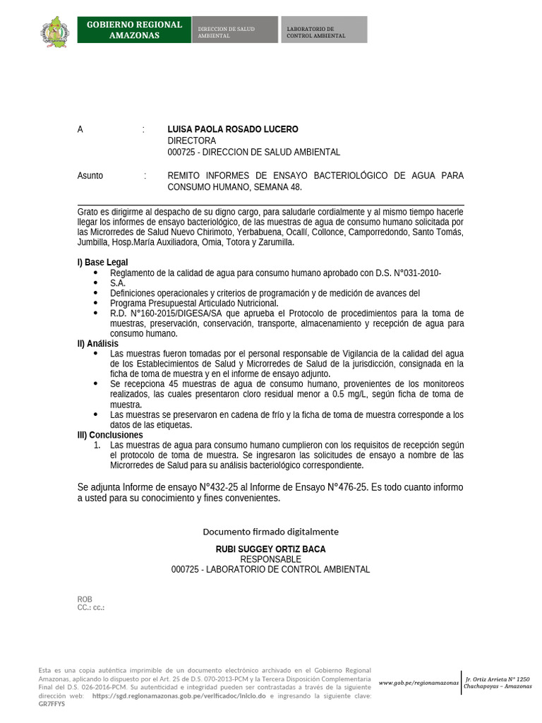 Informe r45 2025 Diresa Desp Dsa Lca | PDF