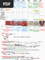 CaniV-4 Test Kit Instructions | PDF | Blood Plasma | Lyme Disease