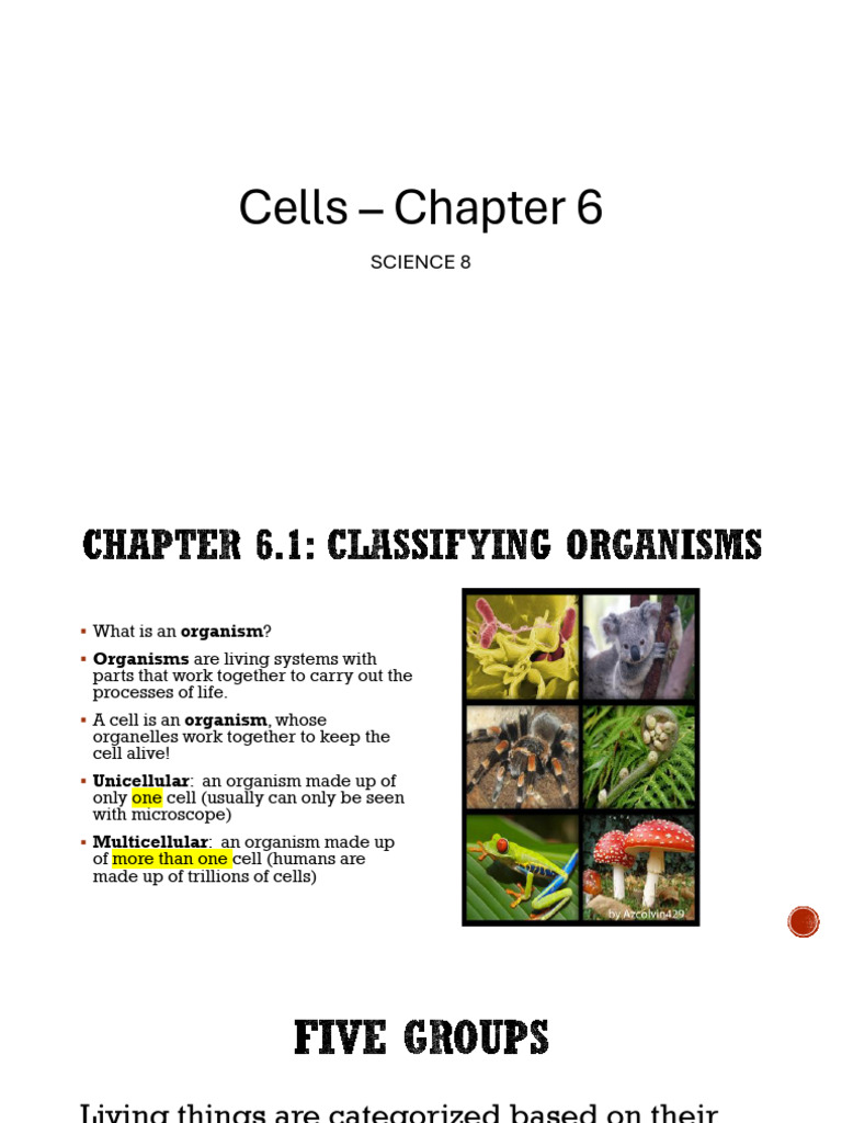 Cells â€“ Chapter 6.1 - 6.2 | PDF | Cell (Biology) | Bacteria