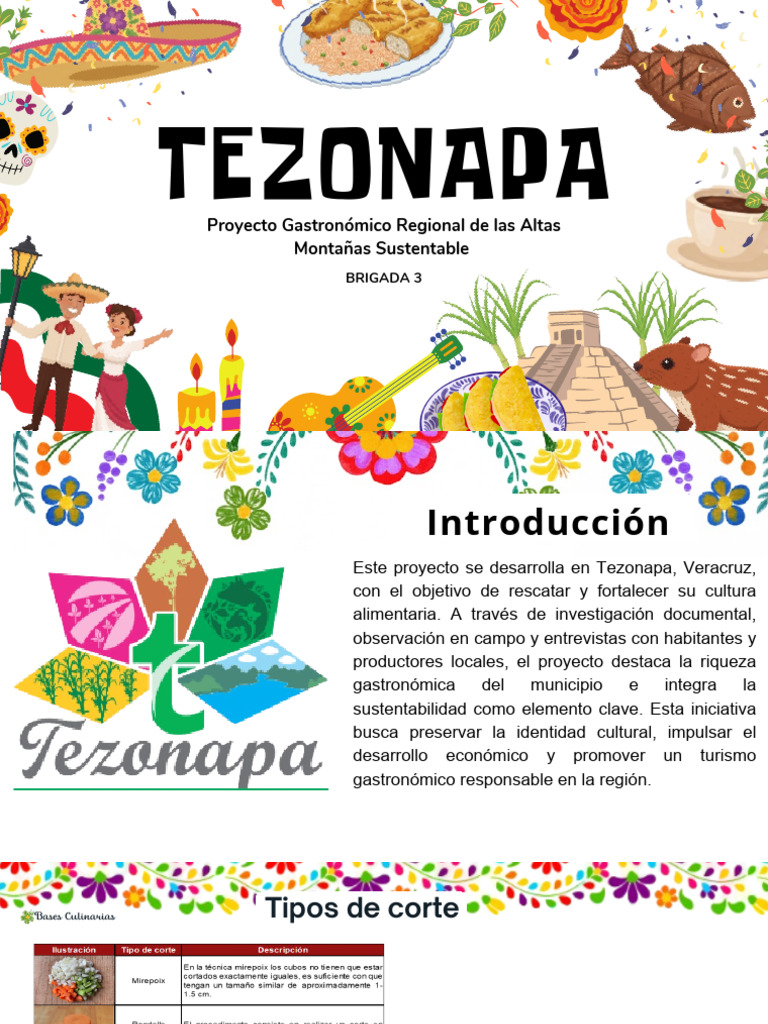 DIAPOSITIVAS TEZONAPA | PDF