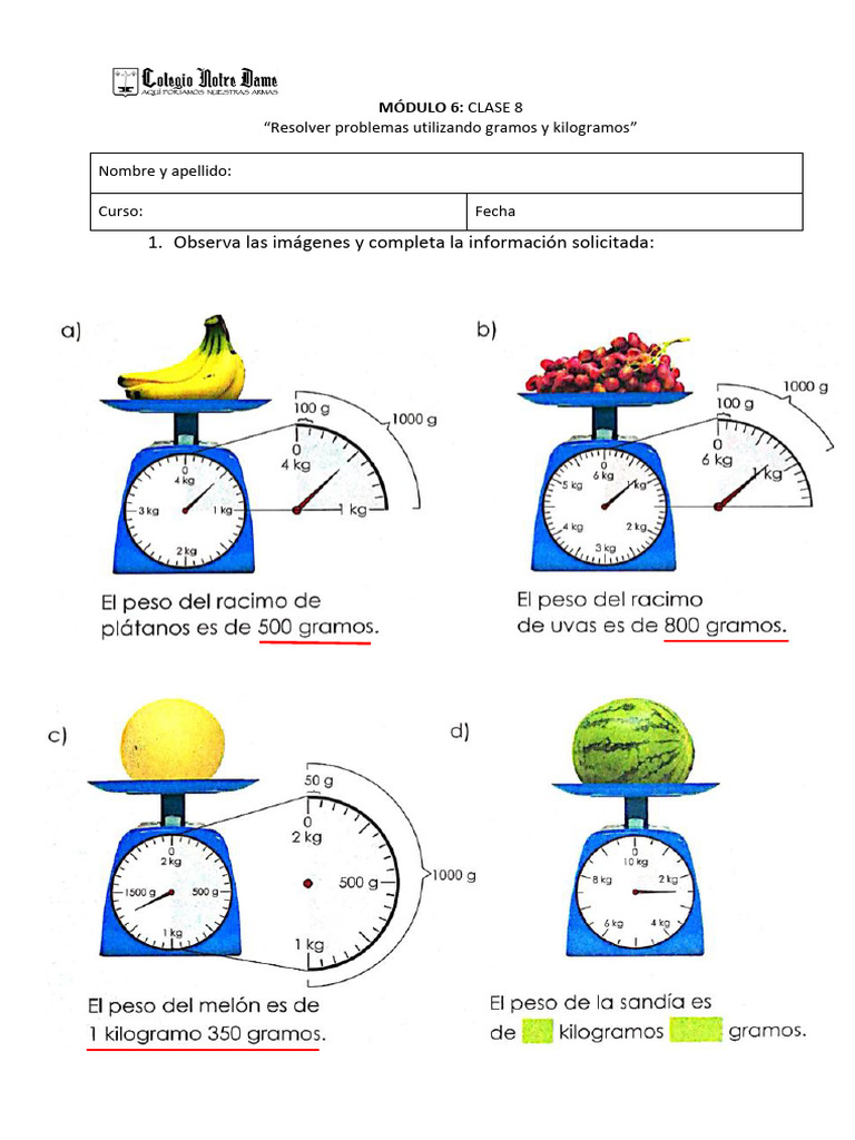 Guia 8 - 29 Octubre | PDF